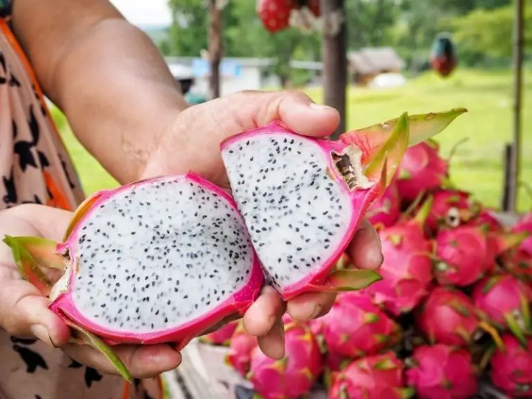 Where to Find Dragon Fruit in The Grocery Store? - Grocery Store Dive