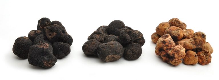 What Do Truffles Taste Like? (You'll Be Surprised…) - Grocery Store Dive