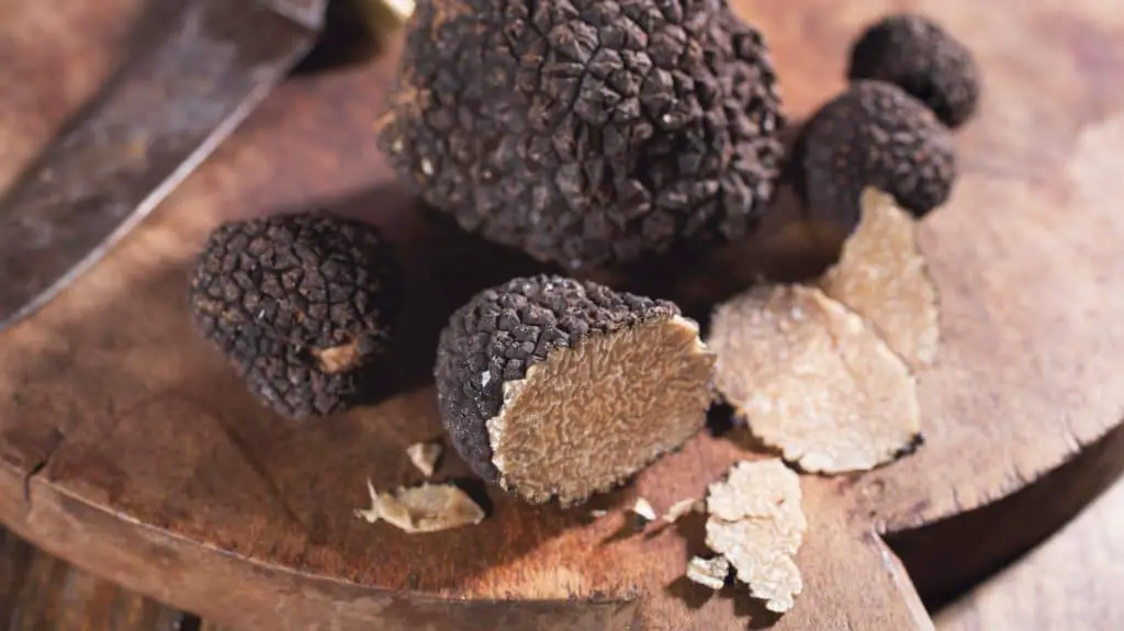 What Do Truffles Taste Like? (You'll Be Surprised…) - Grocery Store Dive