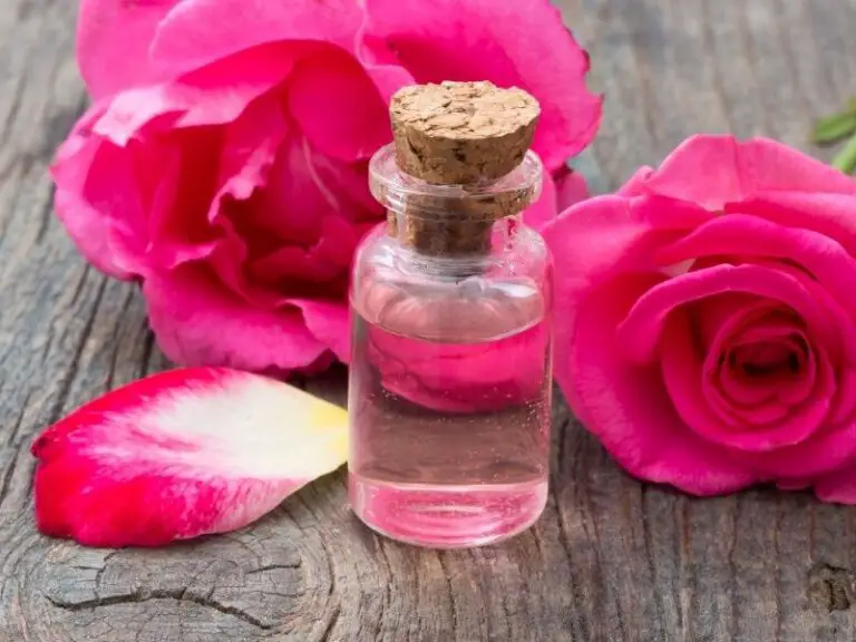 Where to Find Rose Water in the Grocery Store? - Grocery Store Dive
