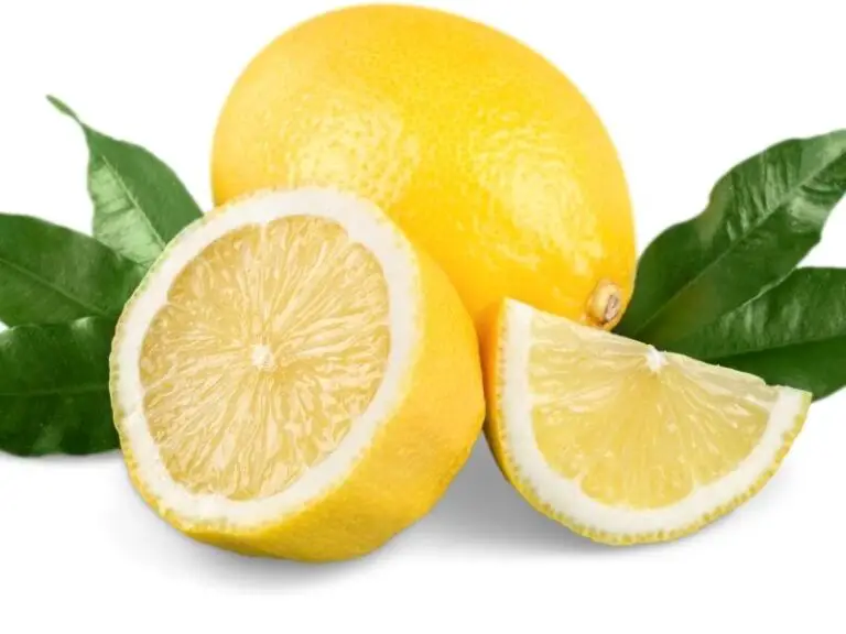 Where to Find and Buy Citric Acid in the Grocery Store? - Grocery Store ...