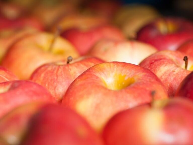 How Many Apples in a Pound? What About a Cup or Peck? - Grocery Store Dive
